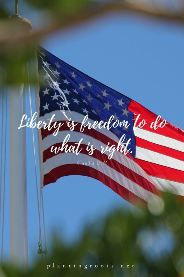 Freedom and Liberty • Planting Roots - Strength to Thrive Military Life