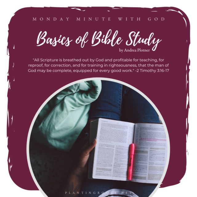 Basics of Bible Study • Planting Roots - Strength to Thrive Military Life