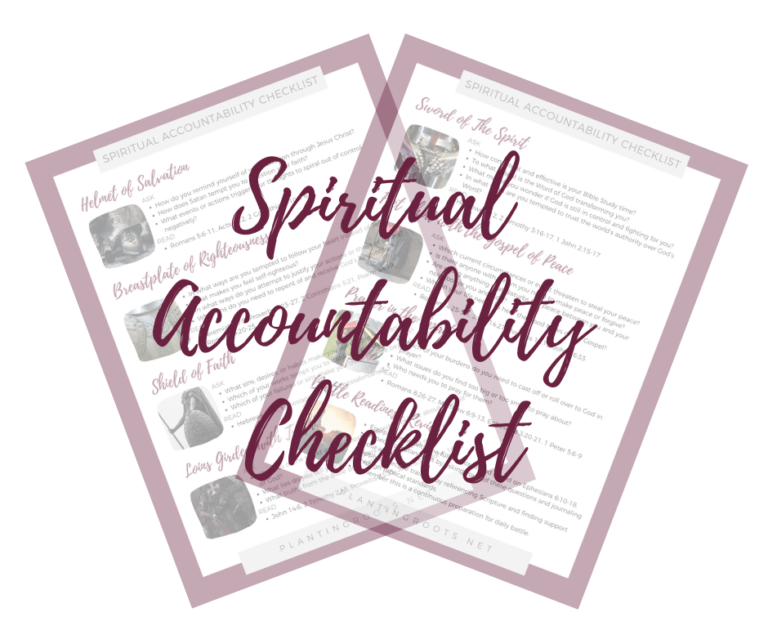 Christian Accountability Checklist – BLVB